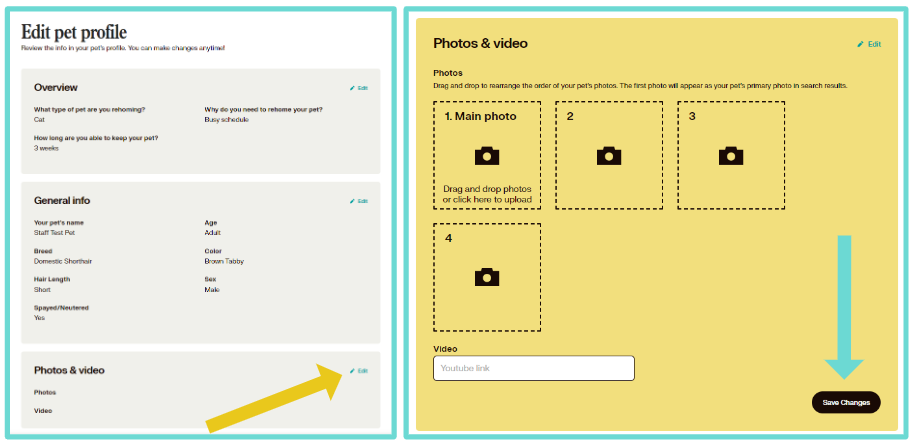 How do I add photos to my pet's profile? – Rehome by Adopt a Pet